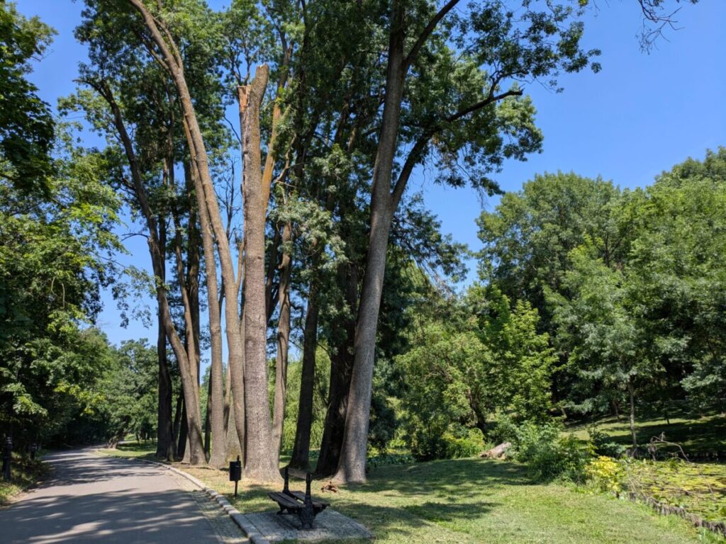 Parcul Nicolae Romanescu din Craiova - 2025 (FOTO)